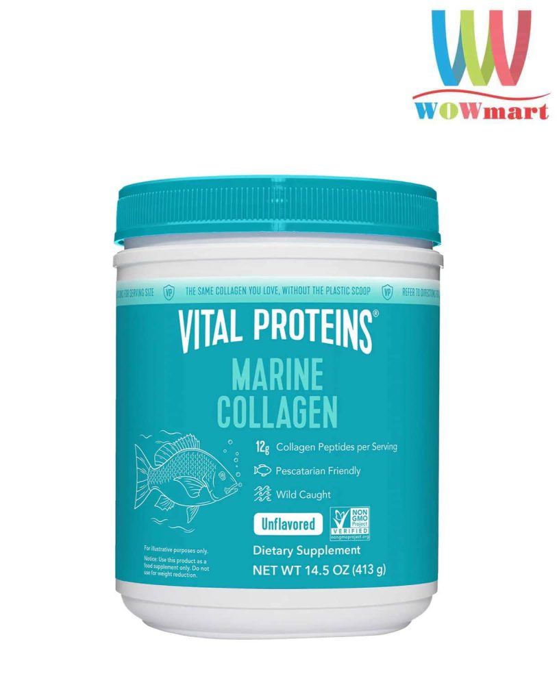 Collagen thủy phân từ cá Vital Proteins Marine Collagen 413g - Wowmart ...
